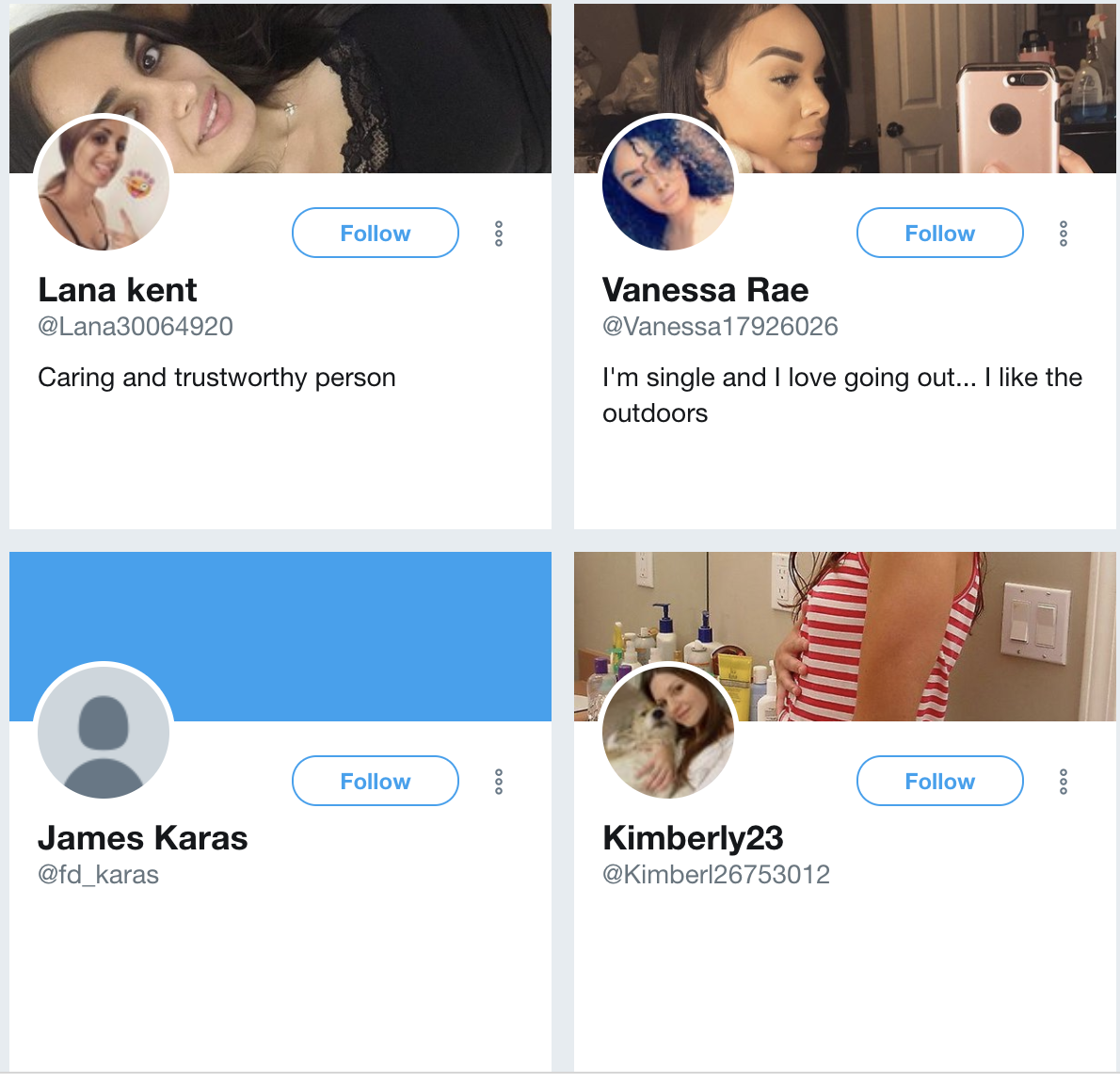 What is a social media bot?